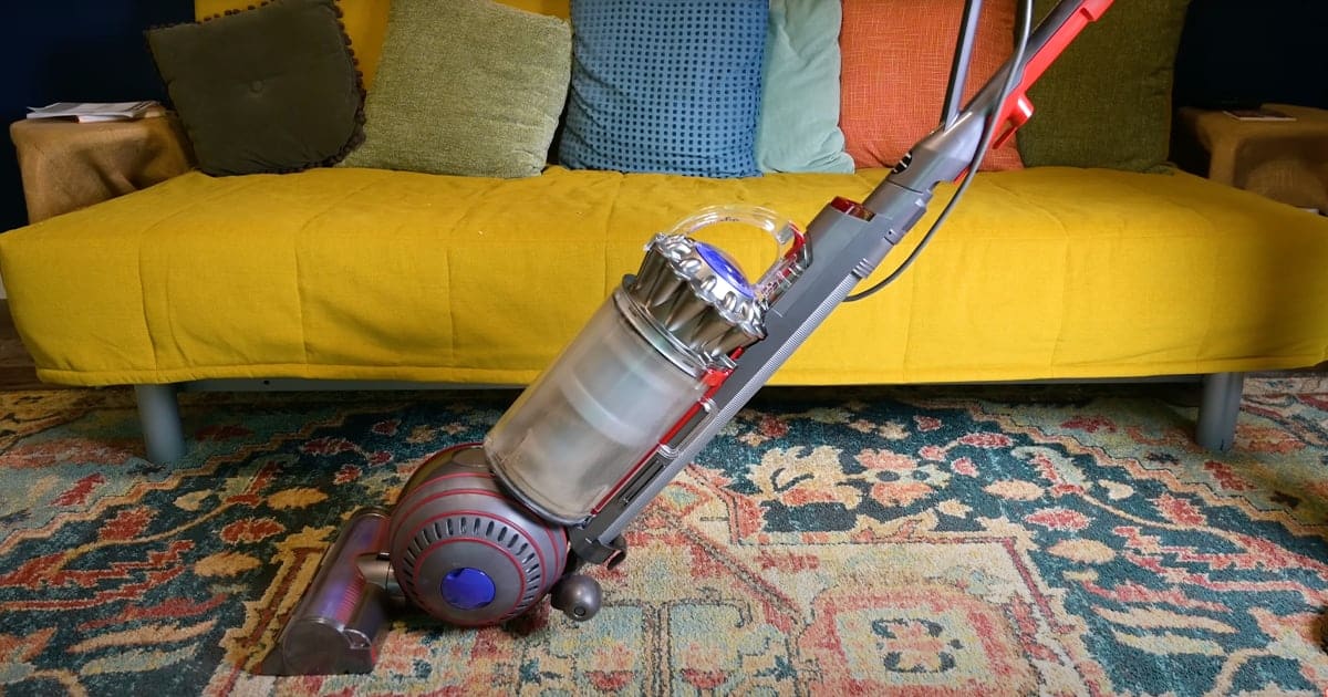 Dyson Animal 3 Review: Still One of the Best | Vacuum Wars