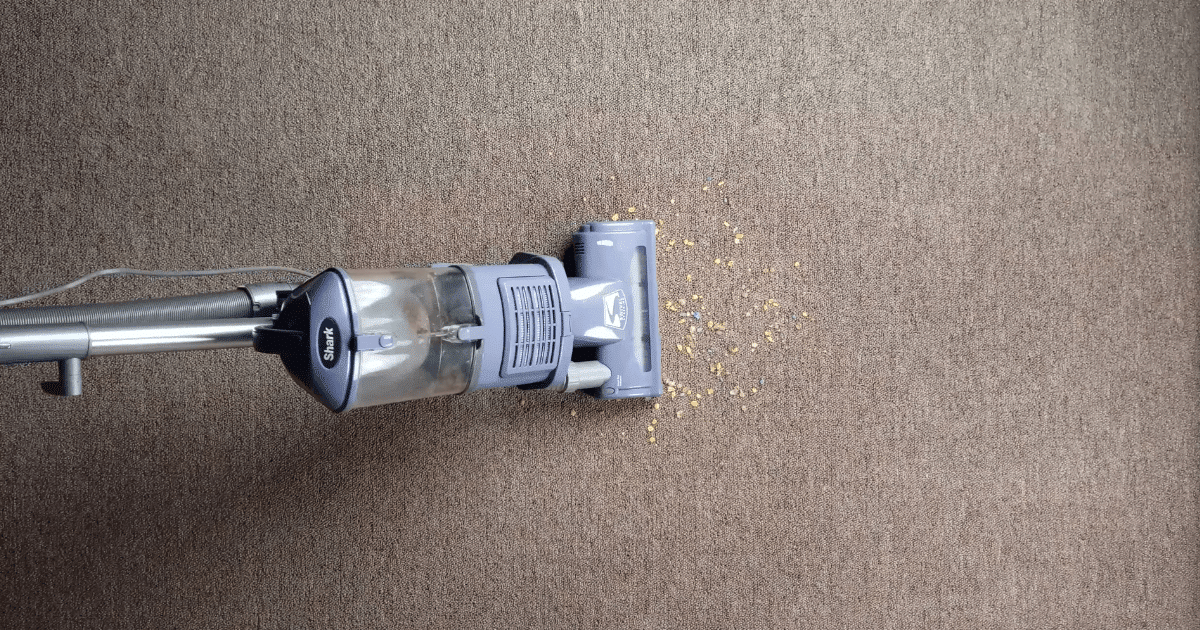 Shark Navigator Lift-Away NV352 Review: Budget Upright Vacuum