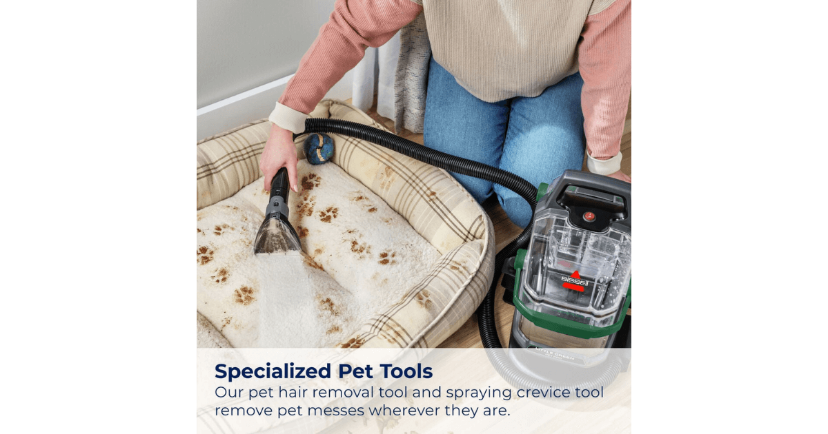 It’s a New Little Green! The Bissell Little Green Pet Pro Portable ...