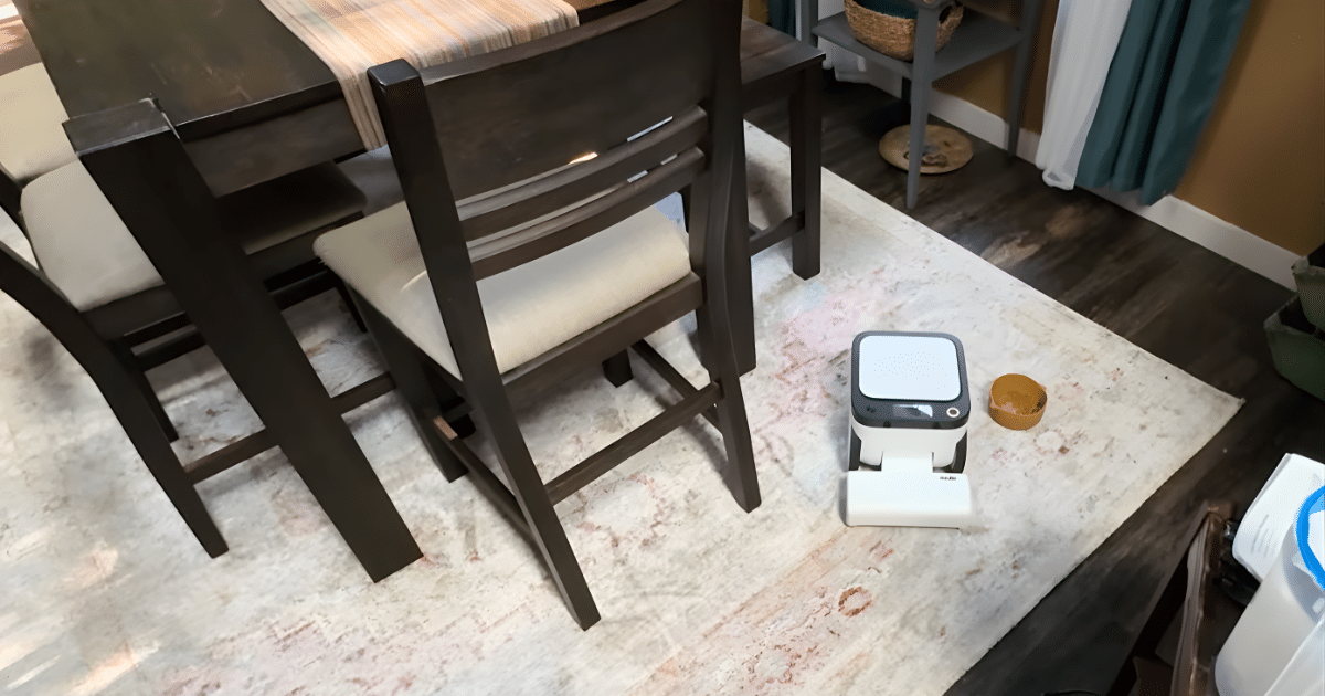 Matic Robot Vacuum Review: A New Approach to Robot Vacuum and Mop ...