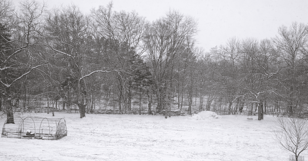 Why a Cordless Vacuum Was Surprisingly Useful During a Winter Power Outage